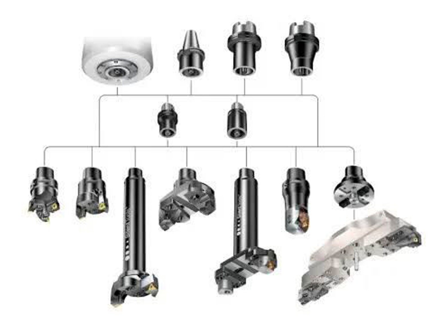 Productos – ST AMADEUS